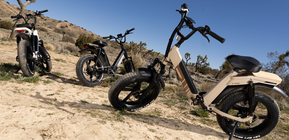 Find Reputable Electric Bike Dealers and Arrange Test Rides | Bandit Bikes