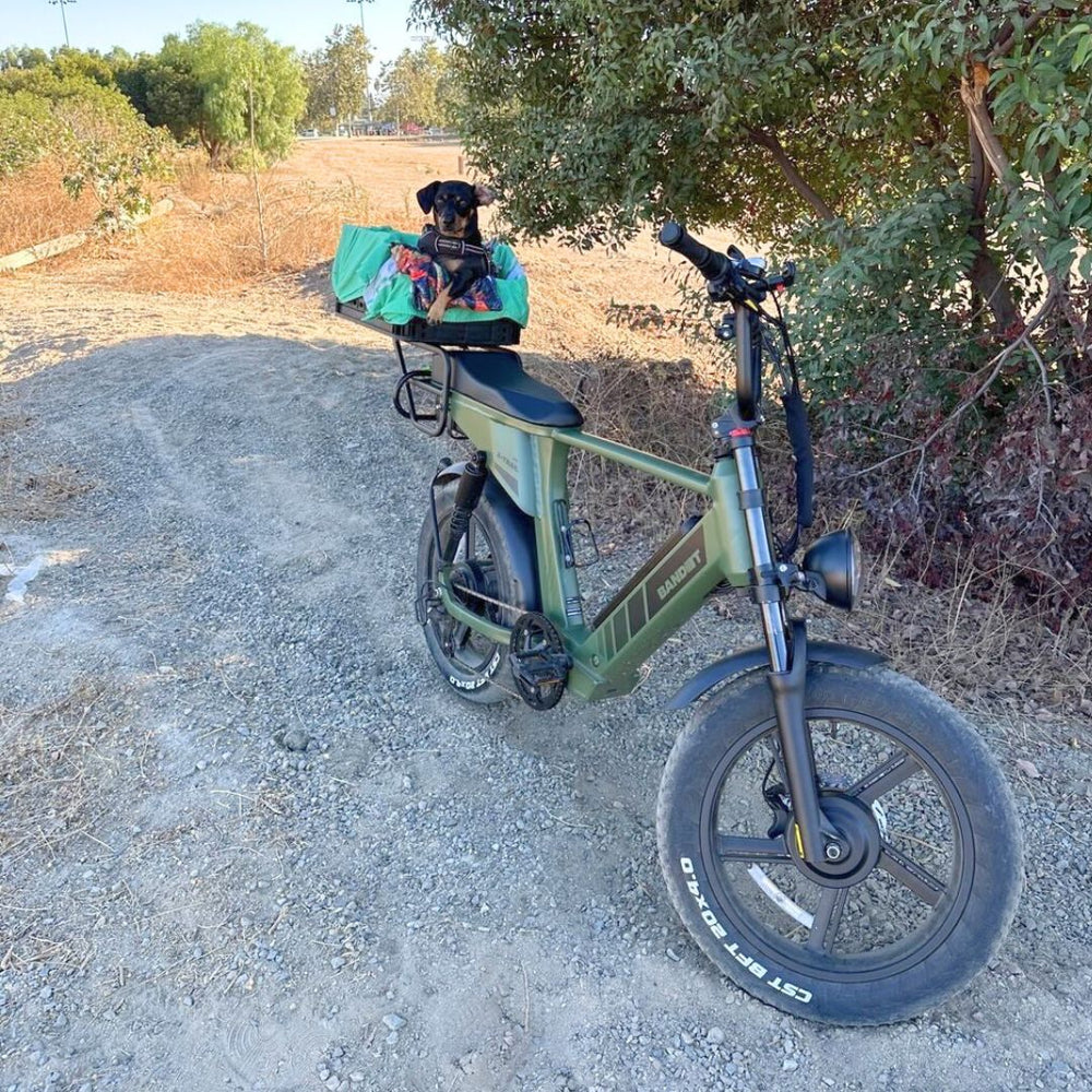 X-trail Pro by Bandit Bikes Landing Page